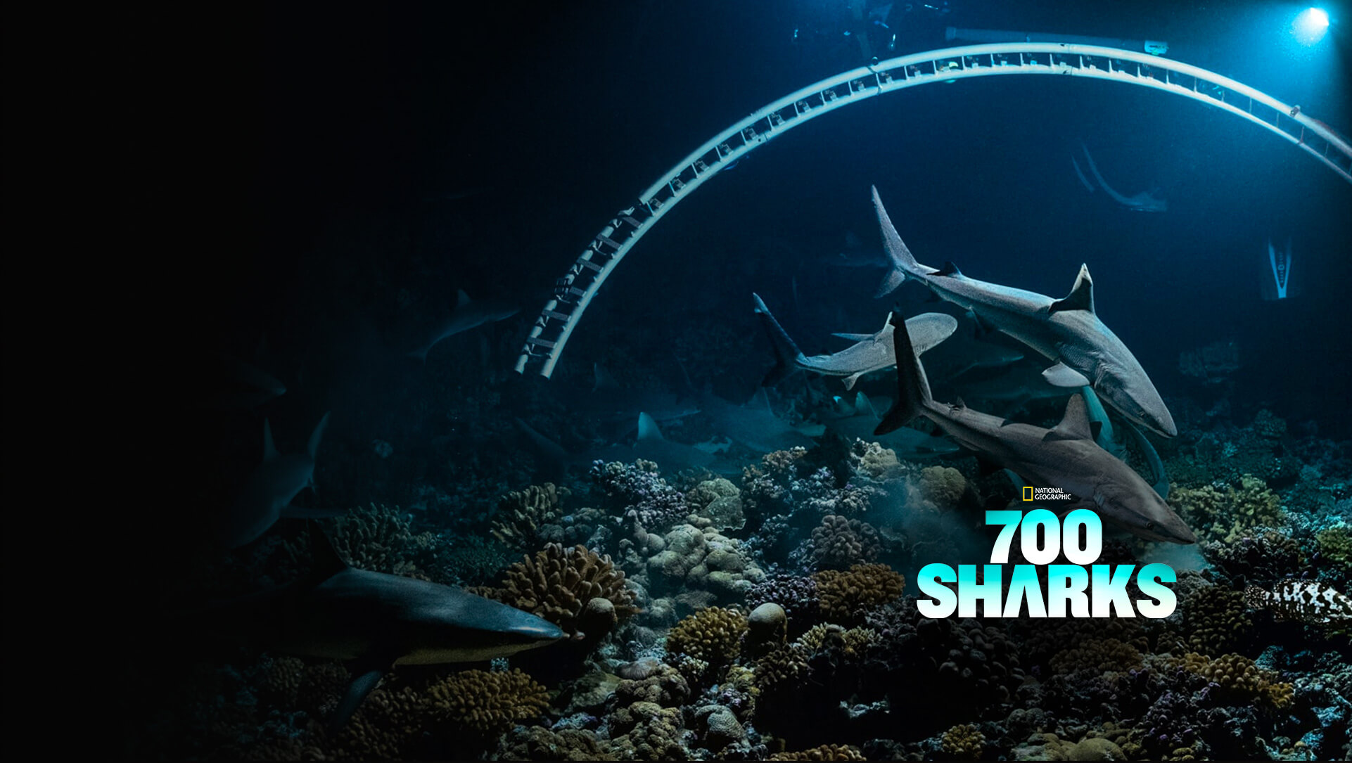 OSN for Business | OSN Home UAE